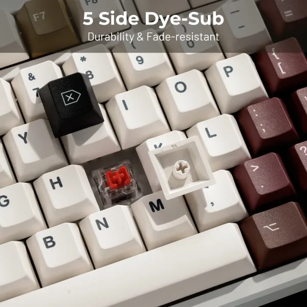 Retro Mixed Light Keycap Set : Meckeys.com : Keycaps